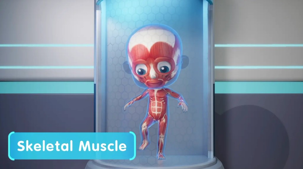How Do Muscles Work？ - Science for Kids