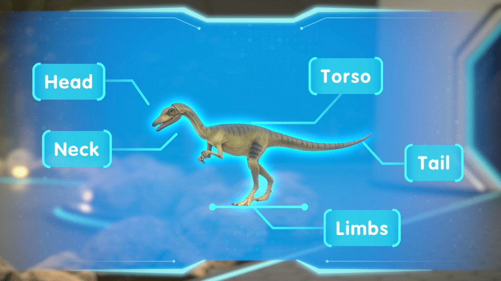 What Are the Body Parts of a Dinosaur? - Science for Kids